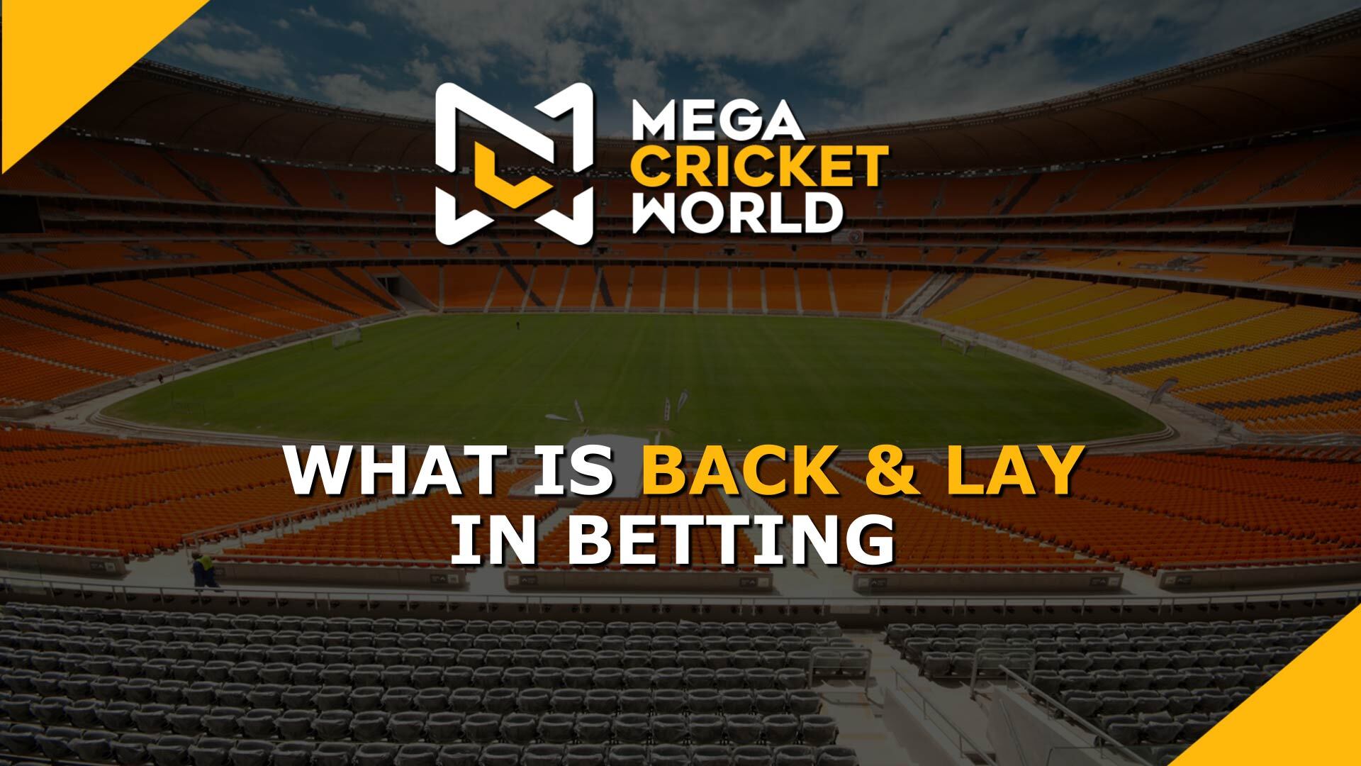 What Is Back And Lay In Betting - Mega Cricket World