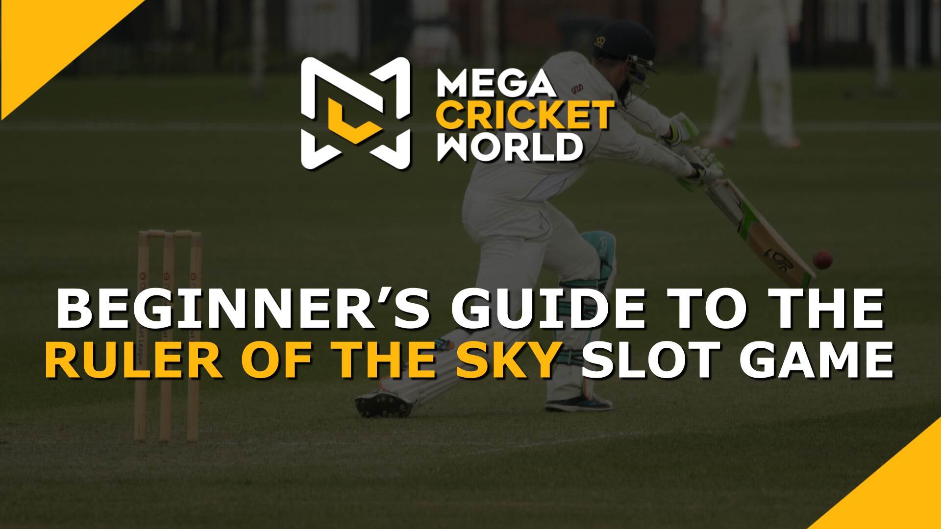 Beginner’s Guide to the Ruler of the Sky Slot Game - Mega Cricket World