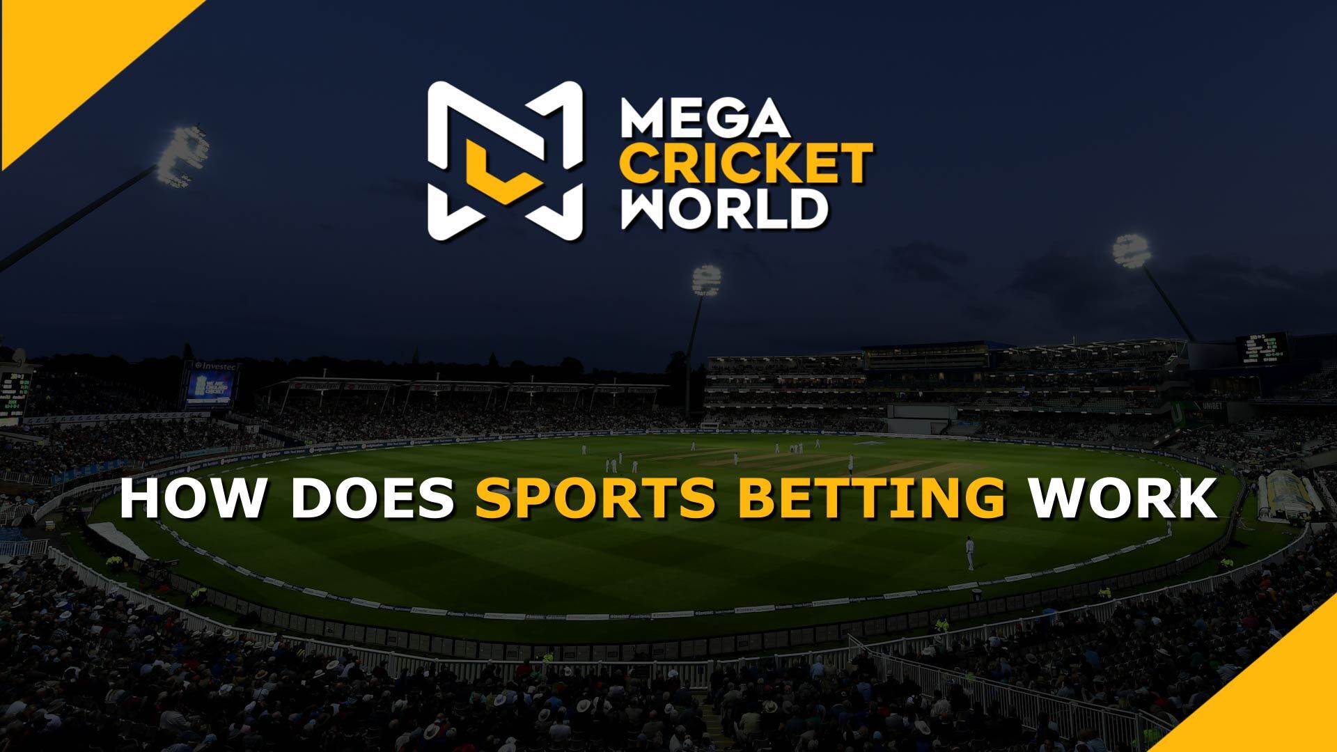 How Does Sports Betting Work? - Mega Cricket World