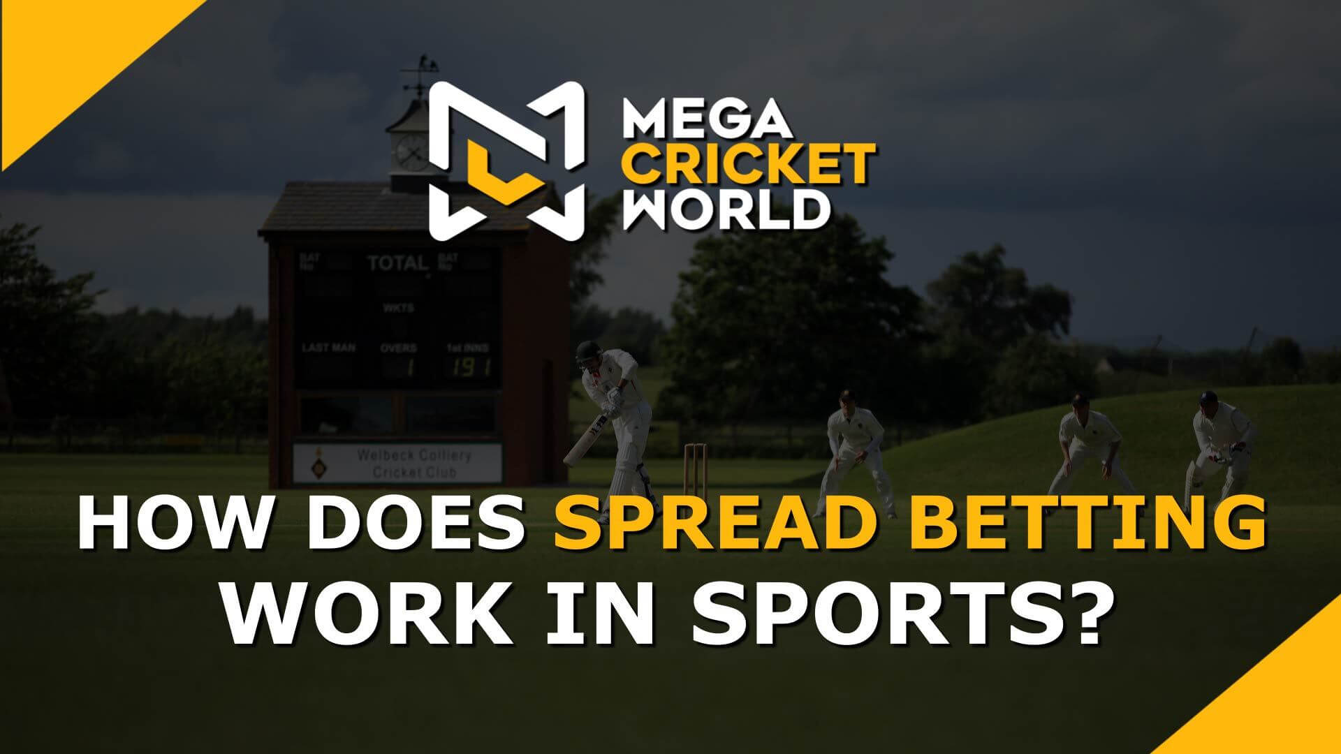 How Does Spread Betting Work in Sports? - Mega Cricket World